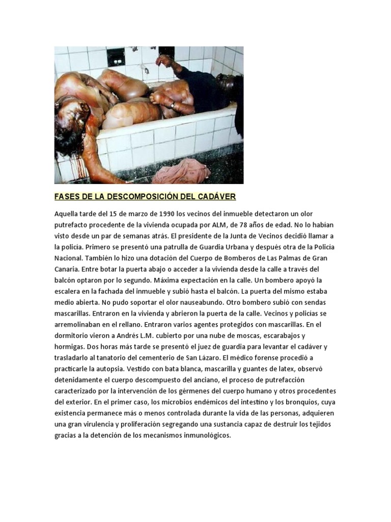 Fases de Descomposición Cadavérica | PDF | Descomposición | Naturaleza