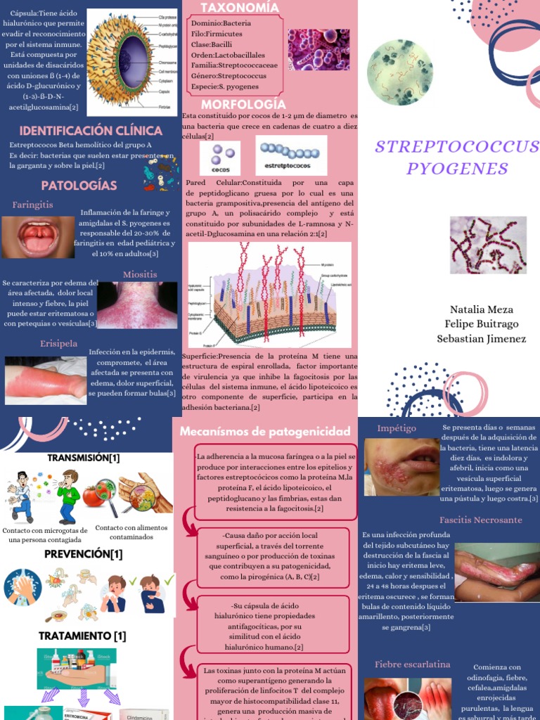 Streptococcus Pyogenes | PDF | Estreptococo | Microorganismo