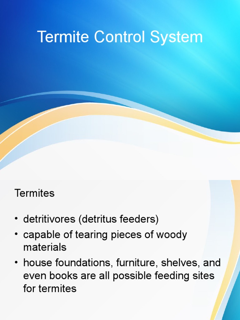 Termite Control System | PDF | Basement | Wall