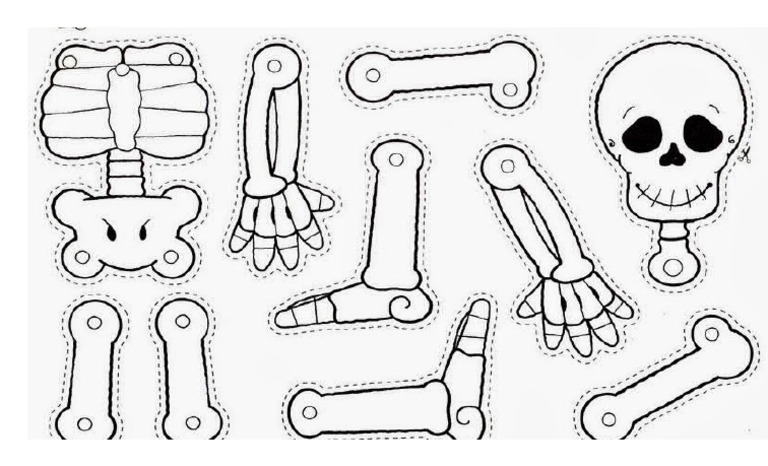 Calavera Armable | PDF