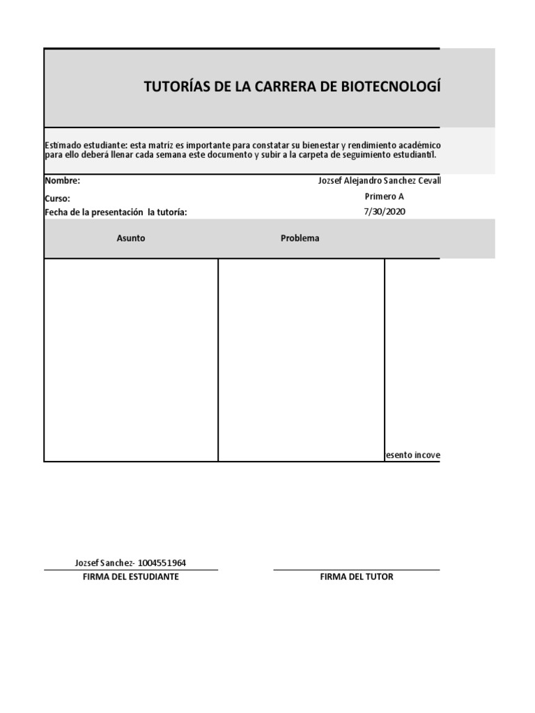 Registro de Tutorías 2 | PDF