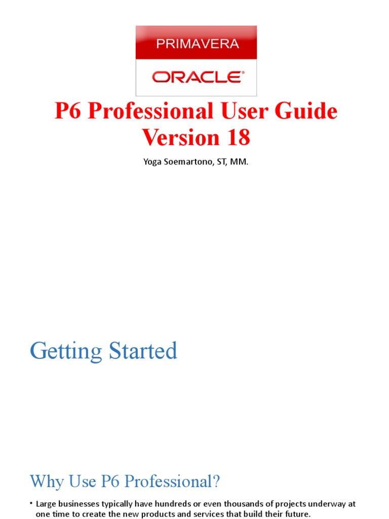 P6 Professional User Guide Version 18 | PDF | Project Management ...