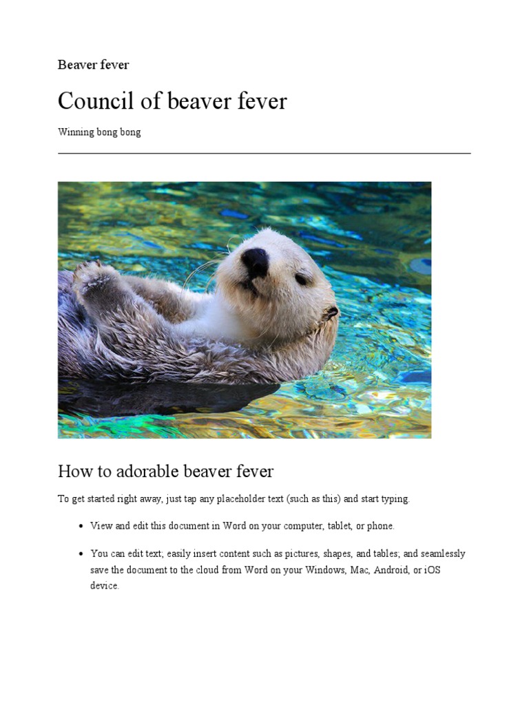 Beaver Fever Document Guide | PDF | Computers