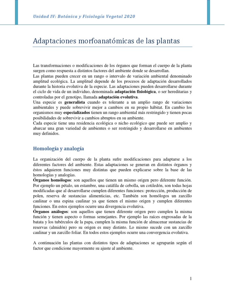 Adaptaciones de Las Plantas | PDF | Plantas | Hoja