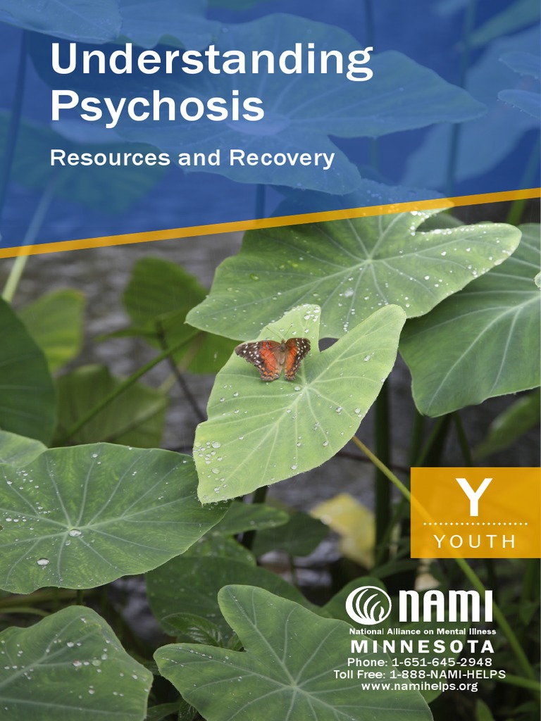 Understanding Psychosis: Resources and Recovery | Download Free PDF ...