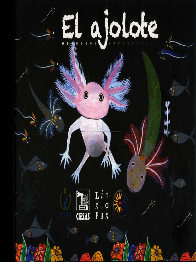 El Ajolote PDF | PDF