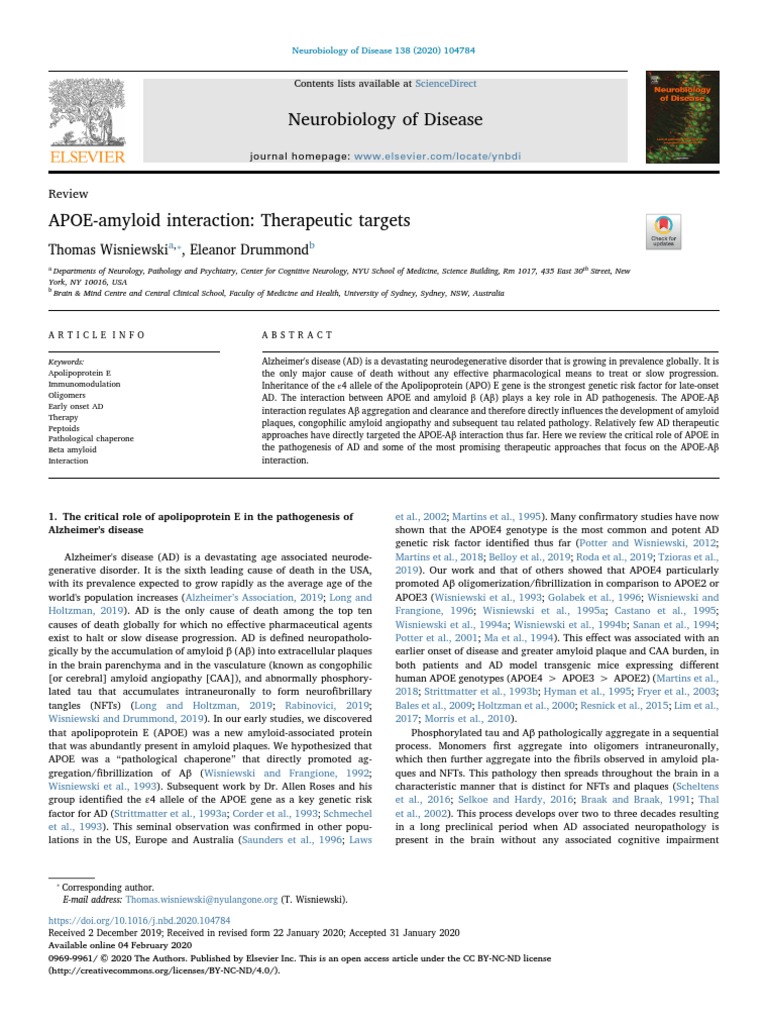 APOE-amyloid Interaction Therapeutic Targets PDF | PDF | Amyloid Beta ...