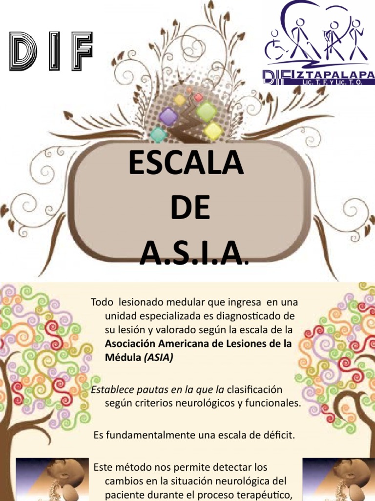 Escala de ASIA | PDF | Sistema nervioso | Médula espinal