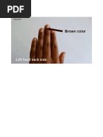 Byol Maridian Chart | PDF | Energy Therapies | Energy (Esotericism)