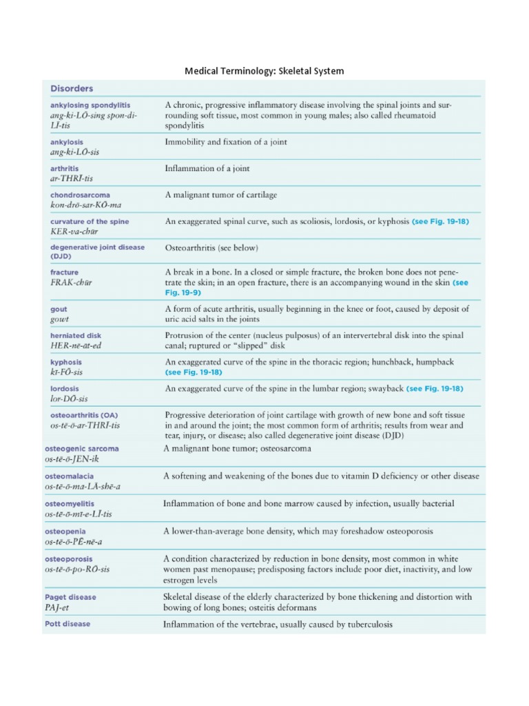 Medical Terminology: Skeletal System | PDF