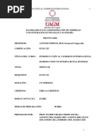 Guía Registro Acceso Único ANAM | PDF | aduana | Contraseña