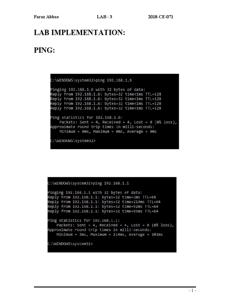 Lab Implementation: Ping | PDF