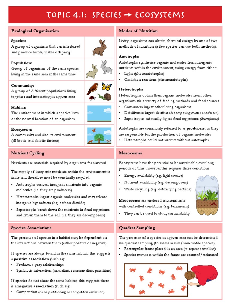 4.1 Species - Ecosystems | PDF | Ecosystem | Systems Ecology