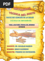 Metodo RaPeVA GAVeCeLT | PDF | Sistema cardiovascular | Sistema ...