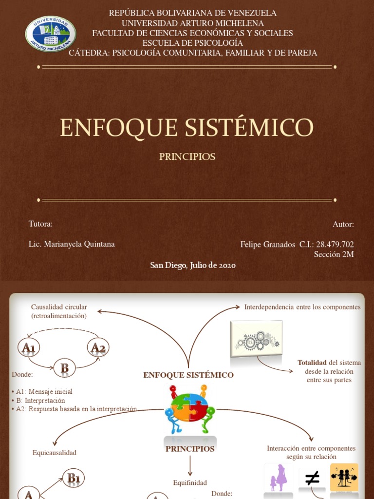 Enfoque Sistémico - Principios. Granados Felipe | PDF | Comunicación ...
