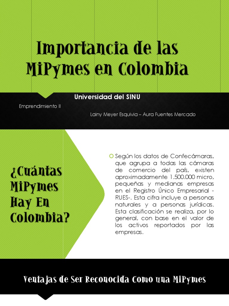 Importancia de Las MyPimes | PDF | Pequeñas y medianas empresas | Business
