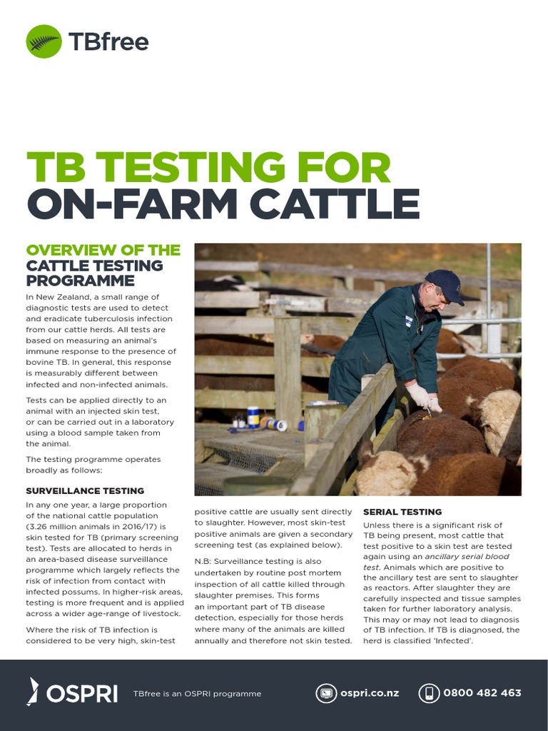 TB Testing For: On-Farm Cattle | PDF | Tuberculosis | Sensitivity And ...