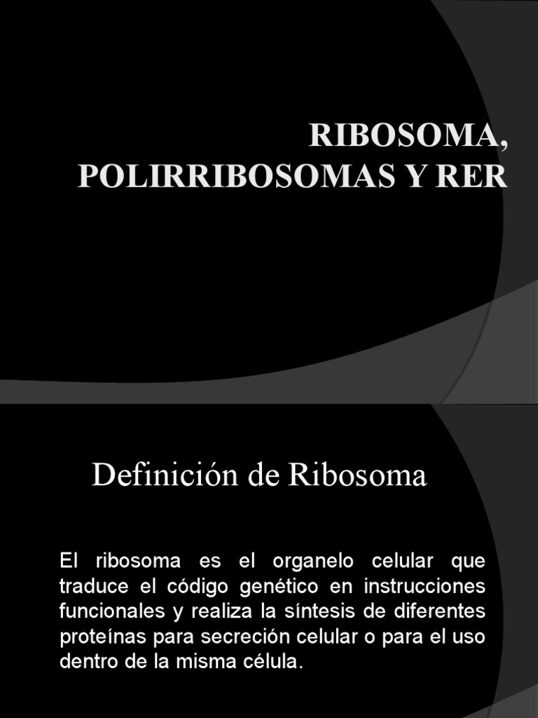 RER y Ribosomas | PDF | Ribosoma | Retículo endoplásmico