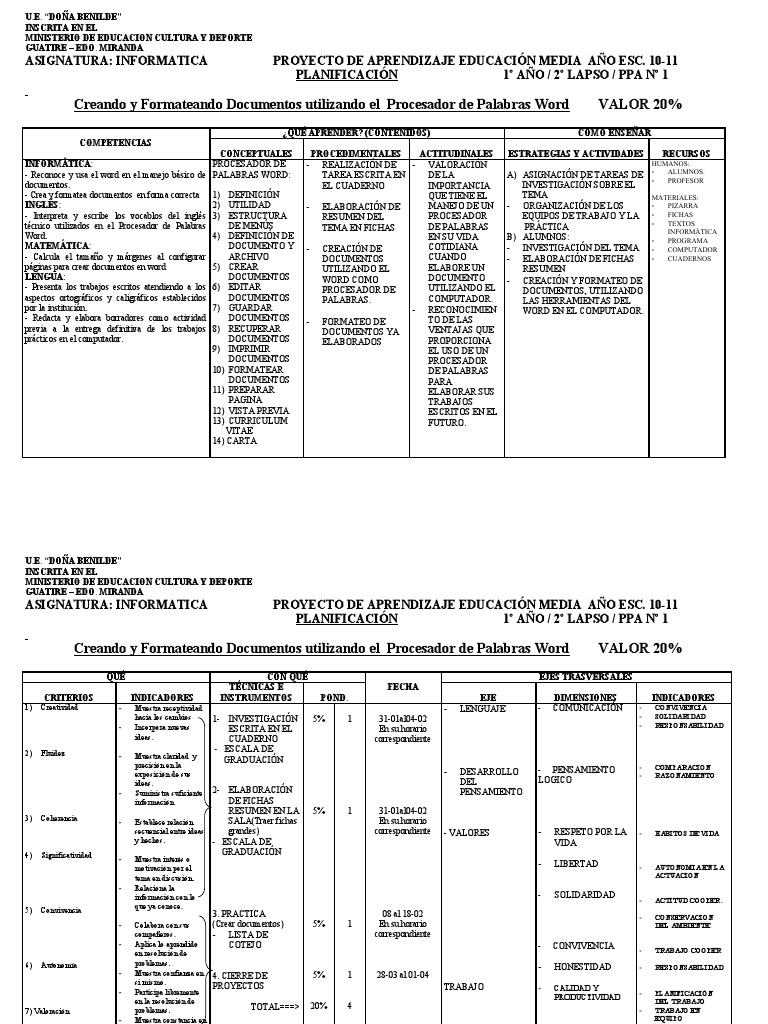 Proyecto N°1 y Plan de Eval. 20% 1° Año | PDF