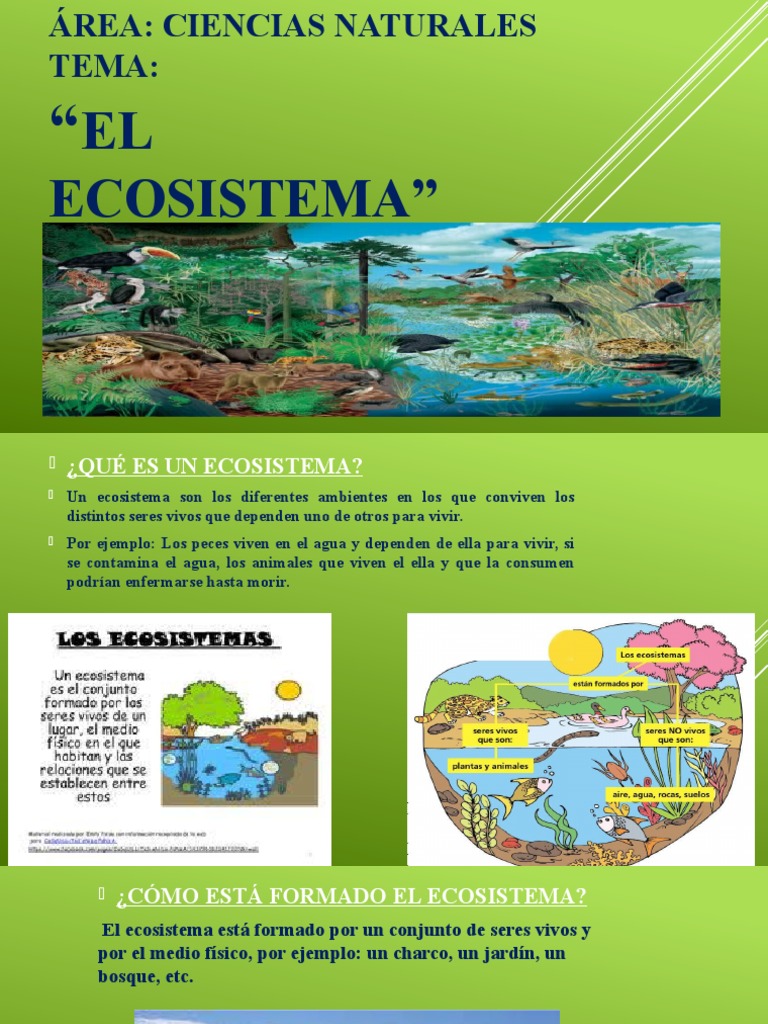Diapositivas Ecosistema | PDF | Ecosistema | Suelo