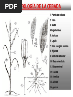 Historia de Los Agroquímicos | PDF | Pesticida | Agricultura