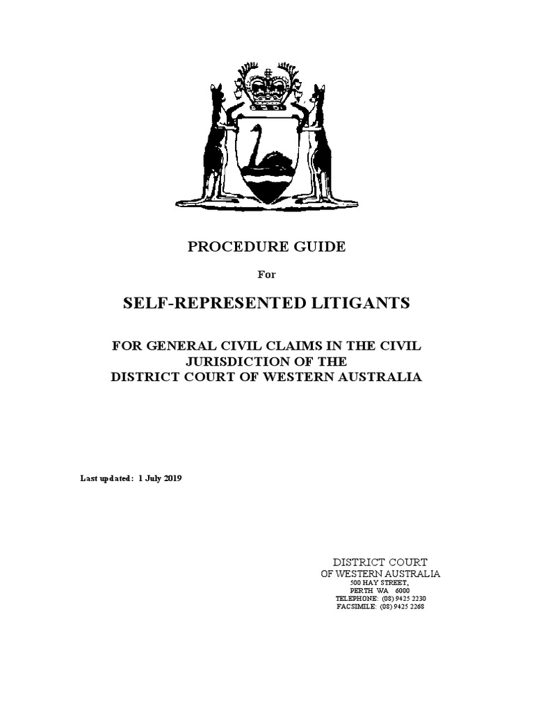 Self-Represented Litigants: Procedure Guide | PDF | Default Judgment | Costs In English Law