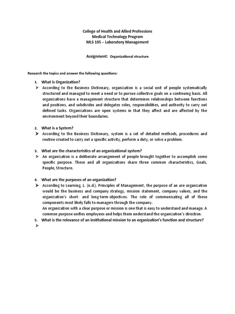 Online Assignment-Organizational Structure | Download Free PDF | System ...