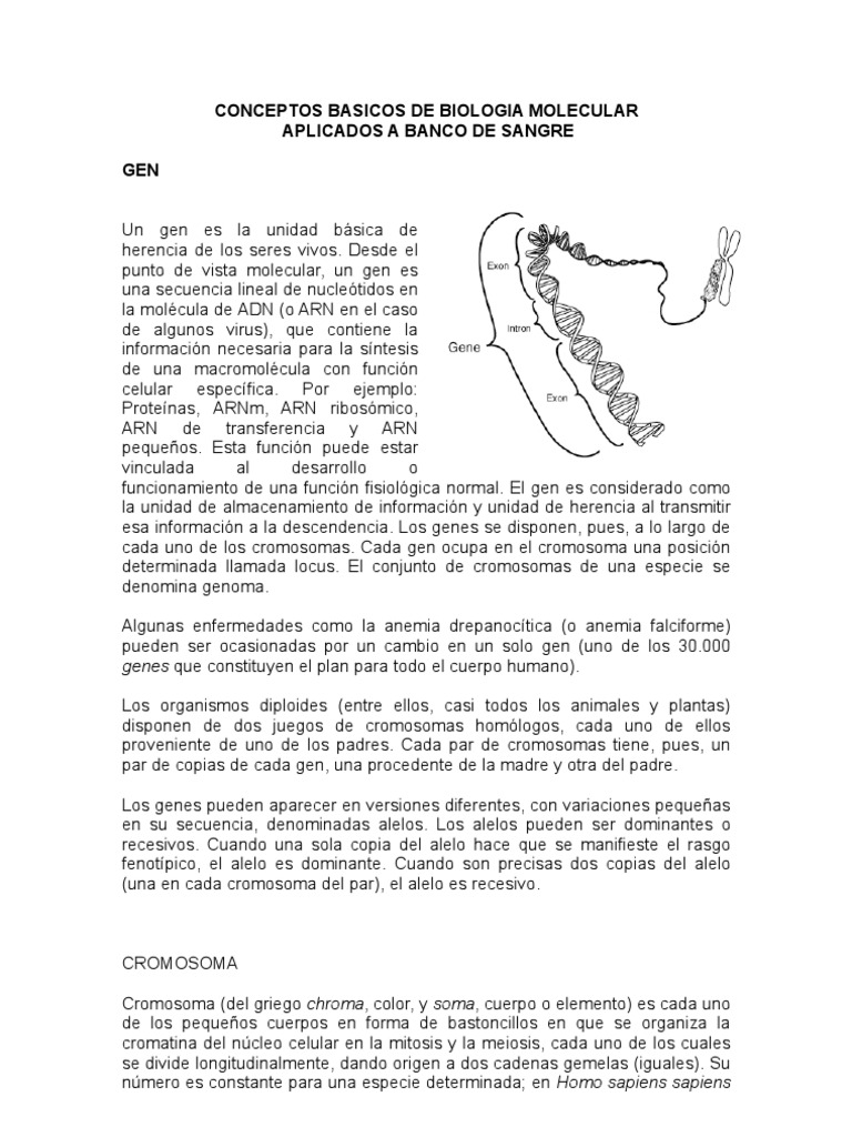 Conceptos Basicos de Biologia Molecular | PDF | Fenotipo | Genotipo