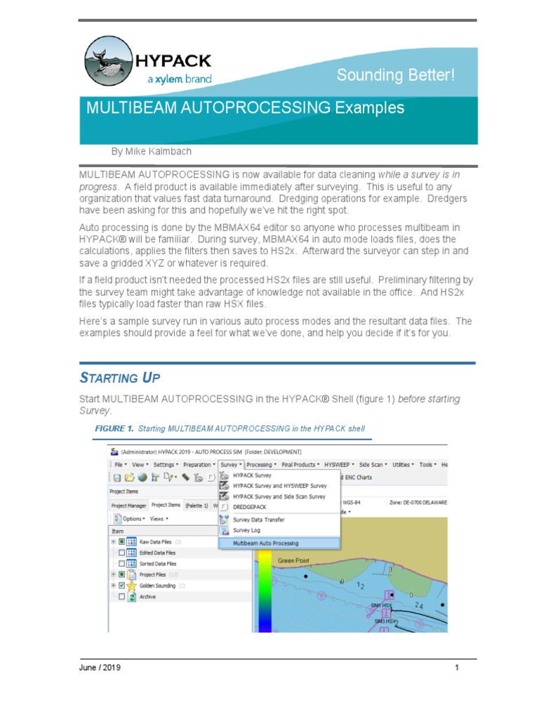 Multibeam Auto Processing Examples PDF | PDF | Computer File | Computer ...