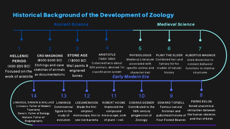 Historical Background of The Development of Zoology: Ancient Science | PDF