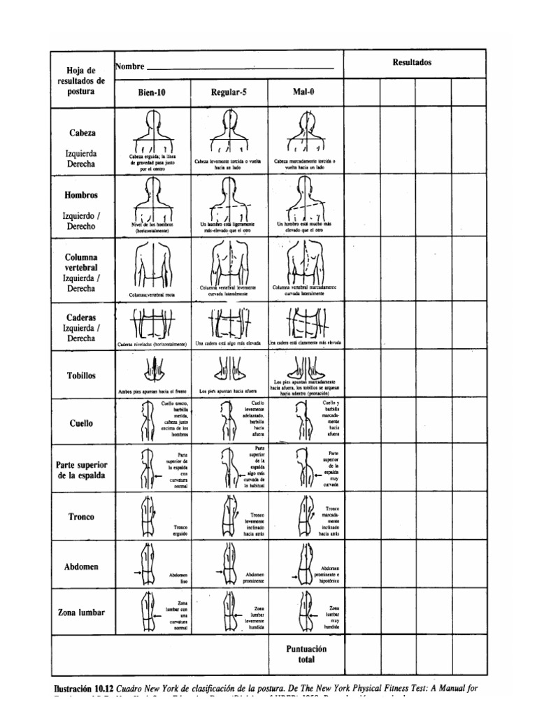 Cuadro Ny Clasificación De La Postura Pdf