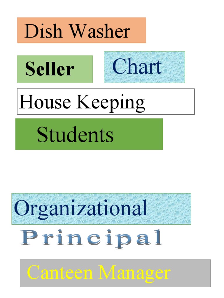 Organizationa Chart | PDF
