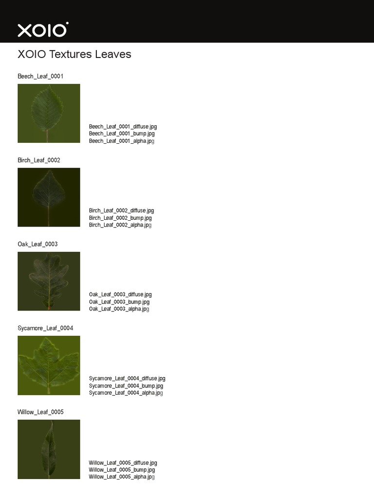 Leaf Textures Collection for 3D Models | PDF