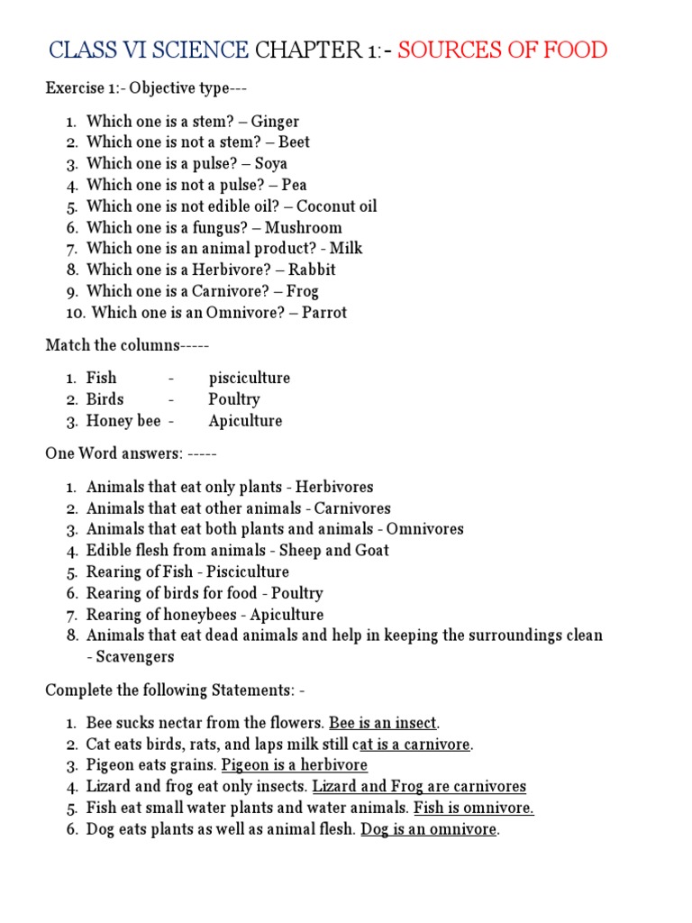 Class Vi Science: Chapter 1 | PDF | Foods | Plants