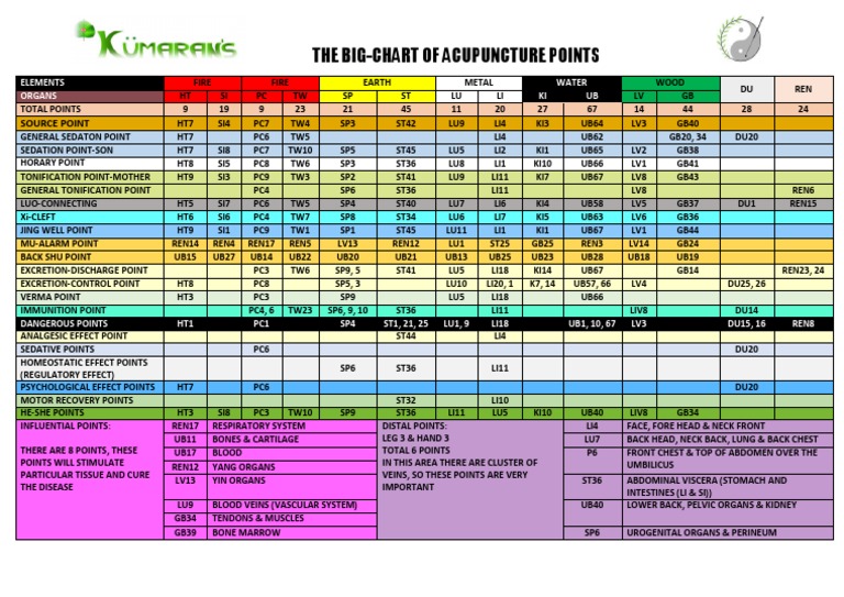 Big Chart Acu | PDF | Abdomen | Zoology