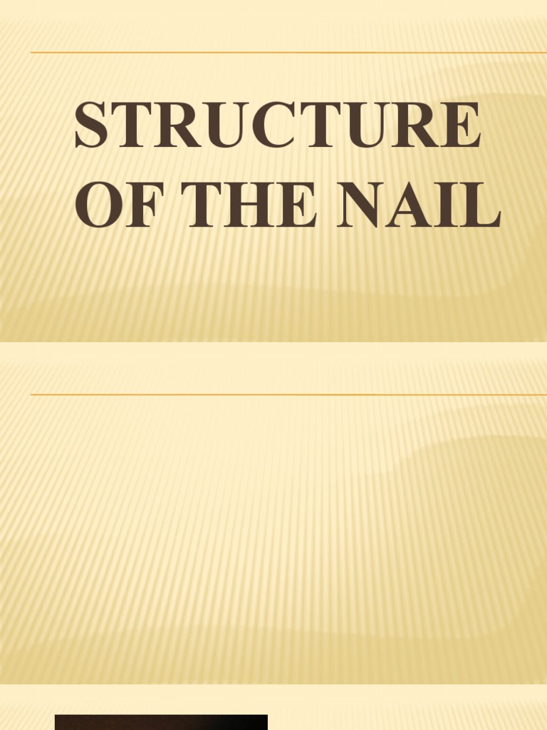 Stucture of The Nail | PDF | Nail (Anatomy) | Hand