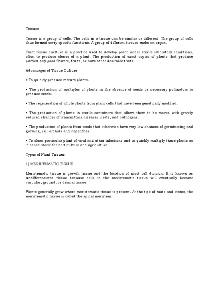 Tissues Notes | PDF | Tissue (Biology) | Nervous System