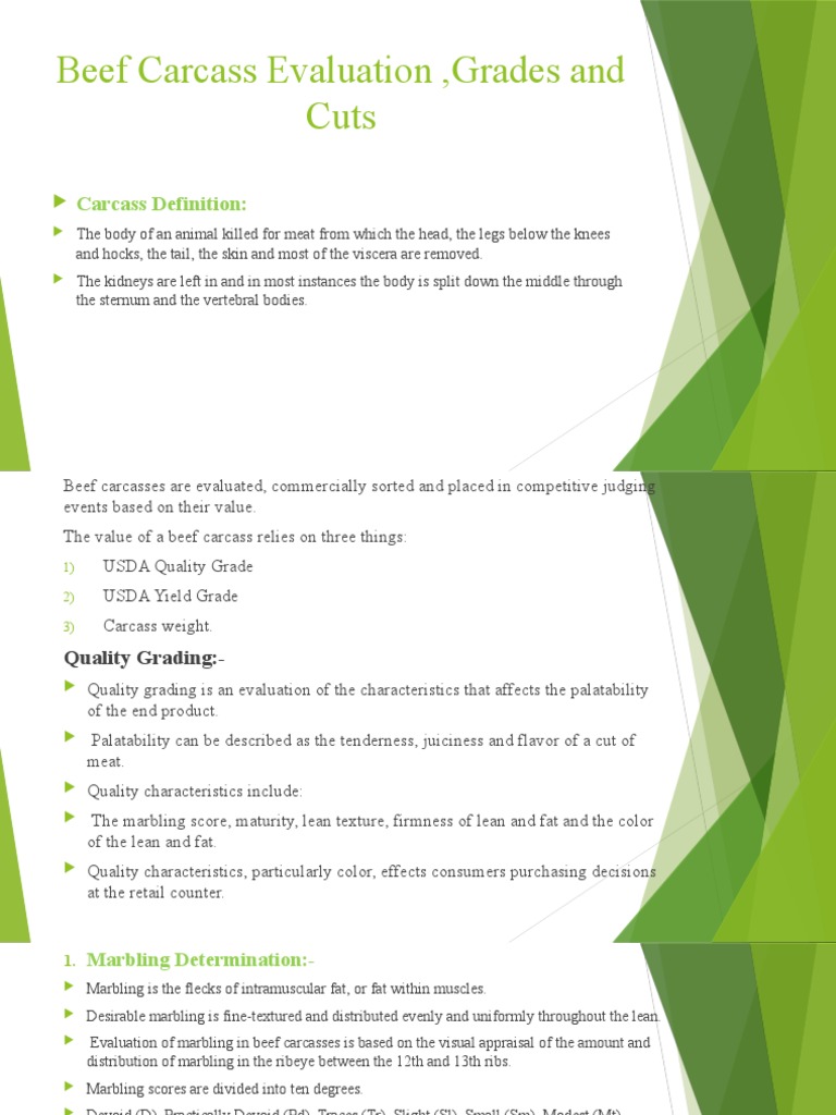 Beef Carcass Evaluation, Grading and Cuts | PDF | Anatomy | Musculoskeletal System
