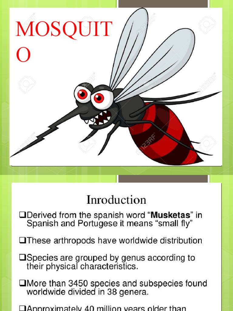 MOSQUITO | PDF