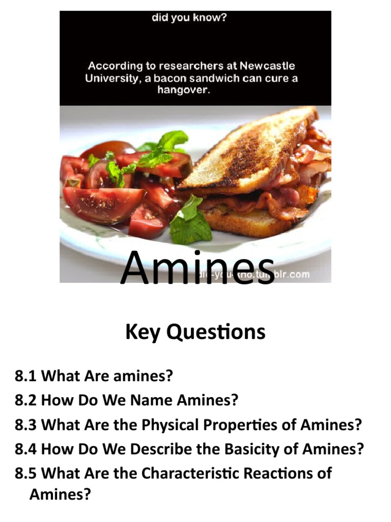 Chapter 8 Amines | PDF | Amine | Pyridine