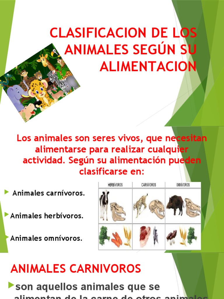 Clasificacion de Los Animales Según Su Alimentacion | PDF