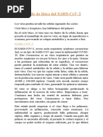 Modelo Rothman | PDF | Causalidad | Ciencias de la Salud