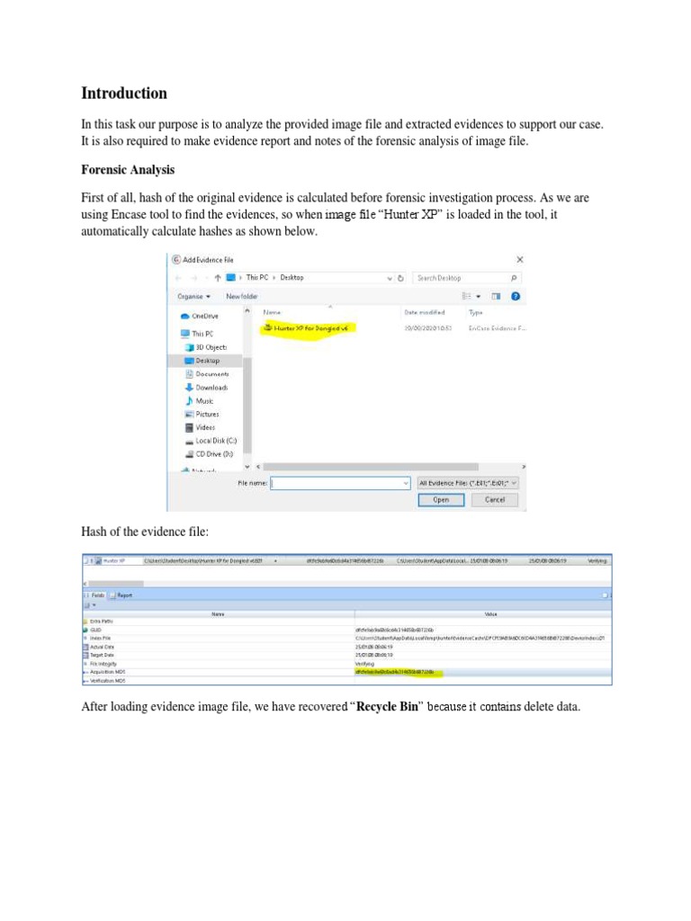 Report PDF | PDF | Computer File | Directory (Computing)