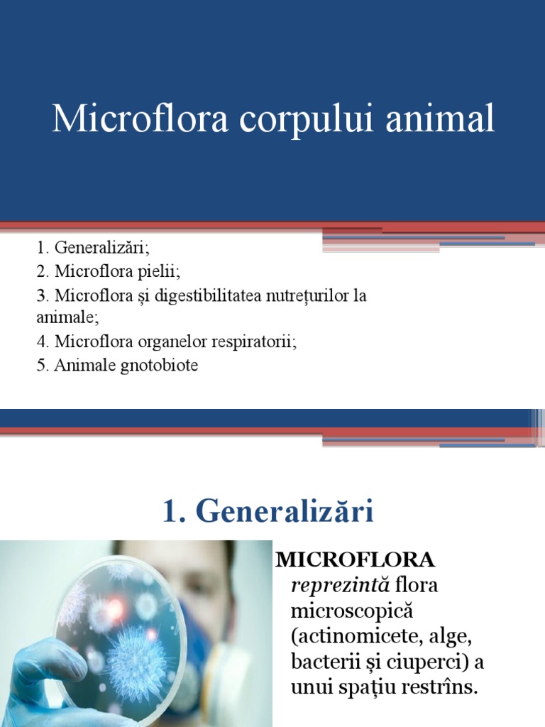 Microflora Corpului Animal | PDF