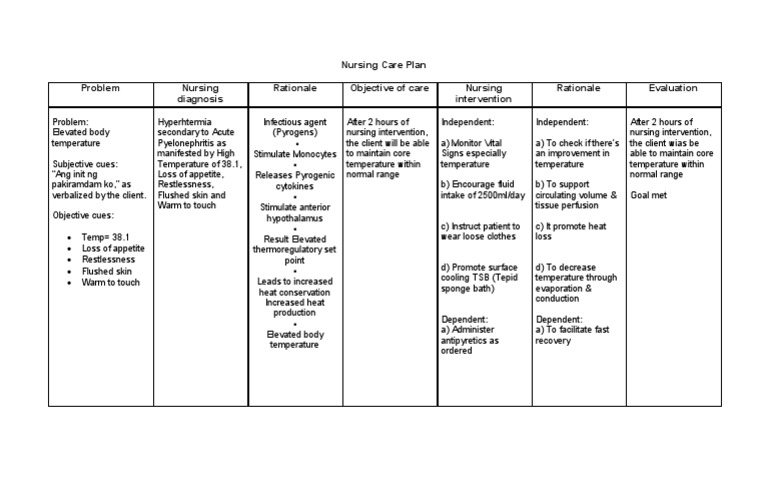 Nursing Care Plan Problem Nursing Diagnosis Rationale Objective of Care ...