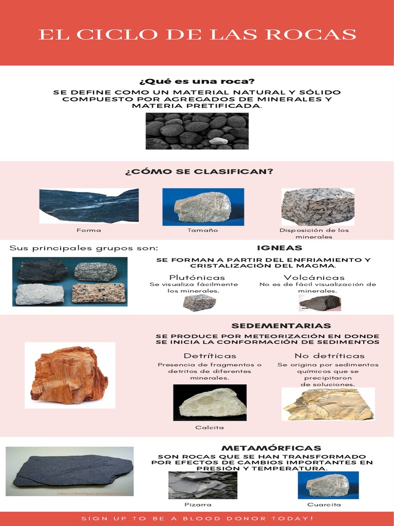 Respuesta De La Búsqueda De Palabras Sobre El Ciclo De Las Rocas