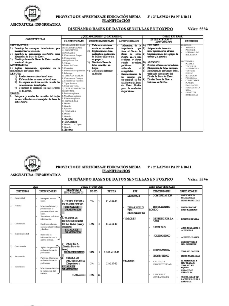 Proyecto N°1 y Plan de Eval: 55% 3° Año | PDF