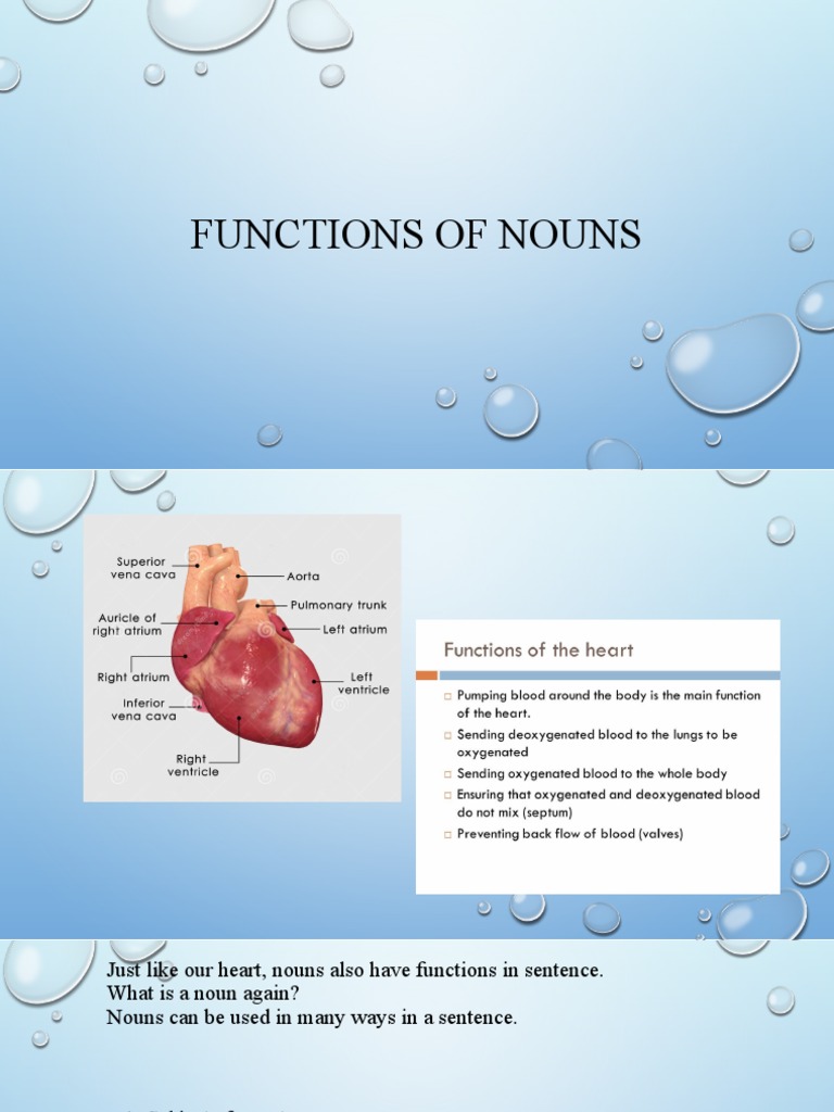 6 English - 1 Functions of Nouns | PDF | Object (Grammar) | Verb