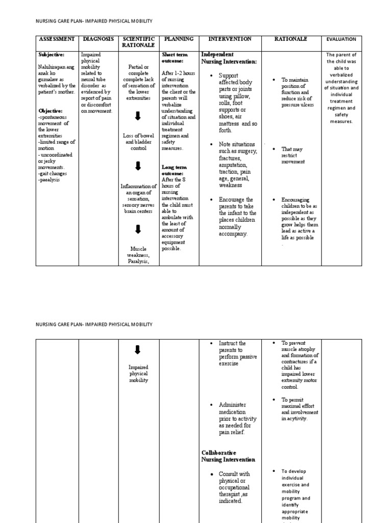 Spinal Bifida Ncp-Impaired Physical Mobility | PDF | Pain | Nursing