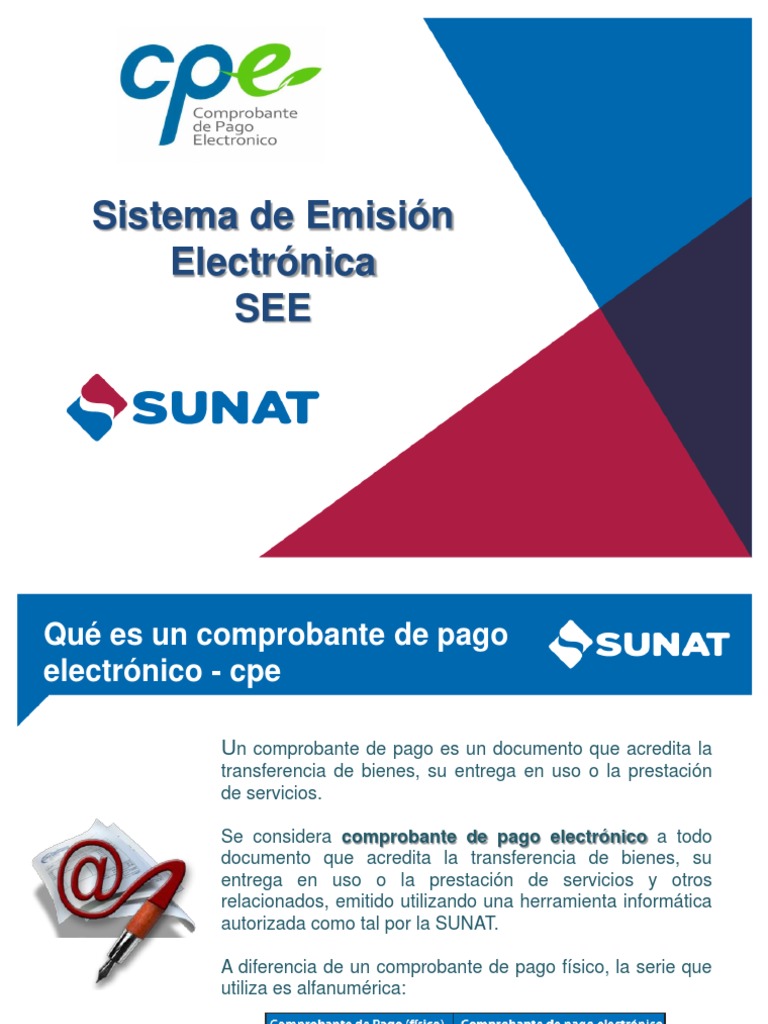 Un Resumen De Los Sistemas De Emisión Electrónica De Comprobantes De